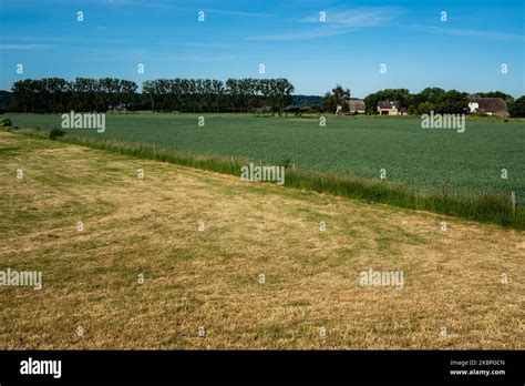 A View Of Two Fields One Very Dry And Another Greener Where The Farmer