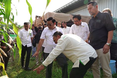 Jaga Stabilitas Pangan Di Tengah Ancaman El Nino NFA Bangun Sinergitas Pengembangan Agribisnis