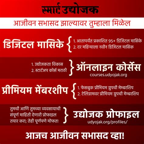 पुणे आणि सांगलीतून विविध बिझनेस सेवा देणाऱ्या कंपनीच्या संचालिका विद्या