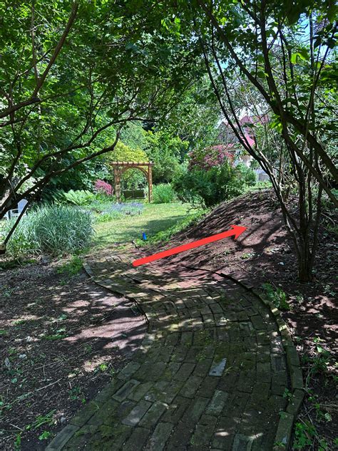 Garden Design Iii Using Line And Shape To Define Space Jennifers