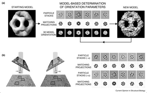 Model Based Determination Of Orientation Parameters From Single Download Scientific Diagram