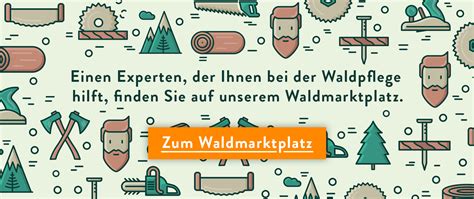 Maßeinheiten für Holz Umrechnung von Ster Raummeter und Co