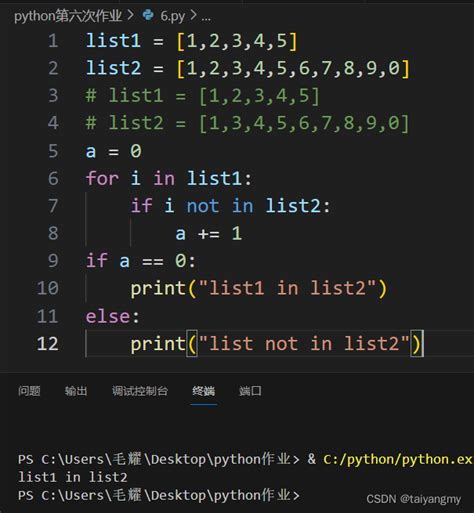 Python编程挑战：基础操作与算法问题 Csdn博客