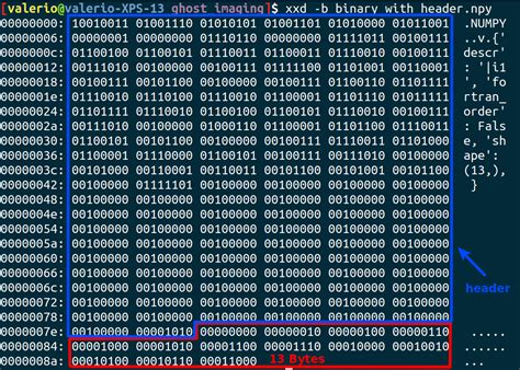 L15numpy Memmap