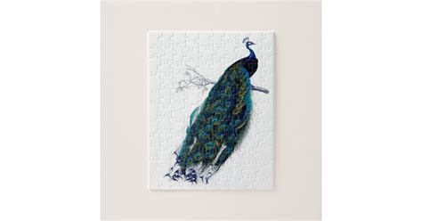 Beautiful Peacock Jigsaw Puzzle Zazzle