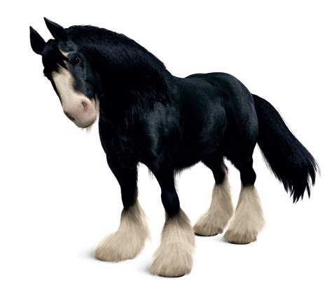 Angus Rise Of The Brave Tangled Dragons Wiki Fandom Powered By Wikia