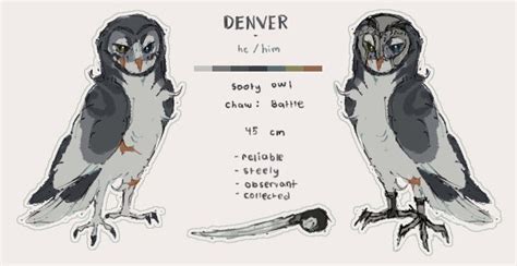 Denver Owl Ref By Ayumiiisafox On Deviantart