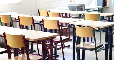 Cuánto Gana Un Profesor De Primaria En Un Colegio Privado En Bogotá