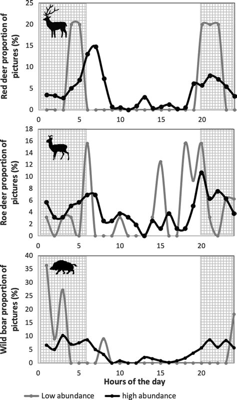 Daily Activity Patterns For Three Ungulate Species At The Veluwe The Download Scientific