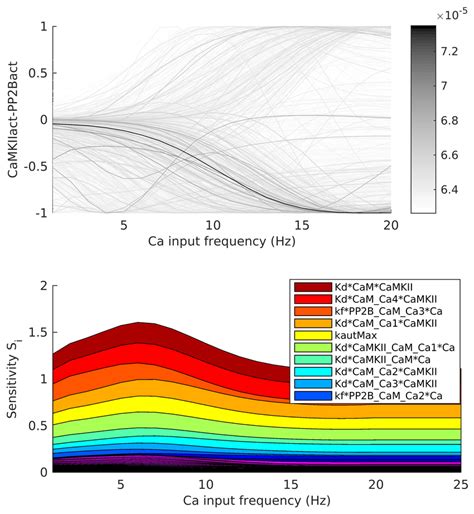 Uncertainty And Sensitivity Of The Prediction The Prediction Download Scientific Diagram