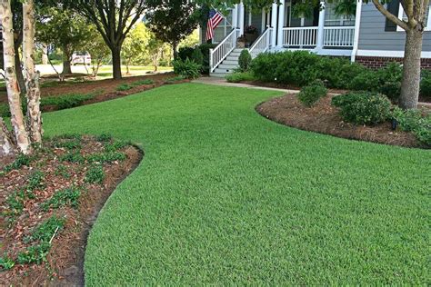Zoysia Grass Lawn Care Green Lawn