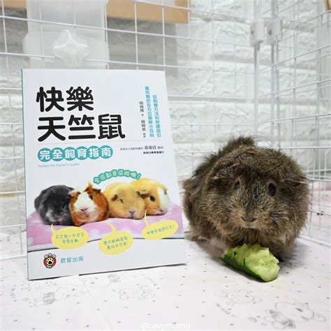 前陣子意外得知有人直接在店裡翻拍書本內容，而且還不是一頁兩頁的那種，是整本在那邊狂拍猛拍，身為作者的我心情真的大受影響，寫這一本書花費了我很多