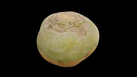 Swedish Turnip Vegetable 3d Model By Tree52787