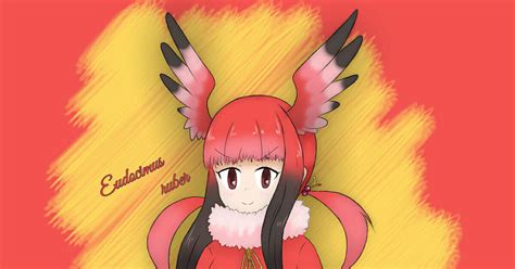 けものフレンズ ショウジョウトキちゃん Hachimitsuのイラスト Pixiv