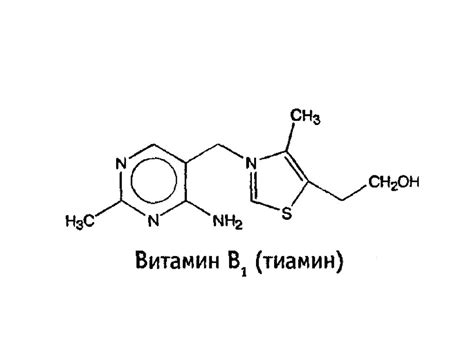 Лекарственные растения содержащие витамины - презентация онлайн