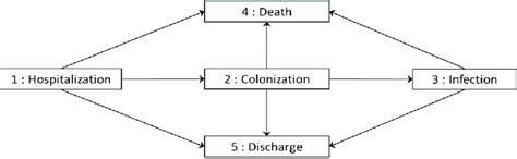 Multistate Model Representation Download Scientific Diagram