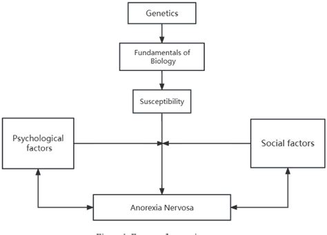 Figure 1 From Pathogenesis Of Anorexia Nervosa Semantic Scholar