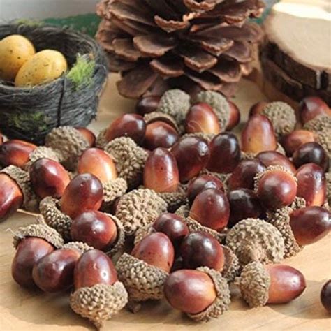 13 Spiritual Meanings Of Acorns Natures Powerful Symbol