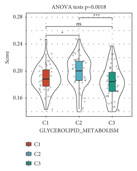 The Relation Between The Three Subtypes And Metabolism Pathways