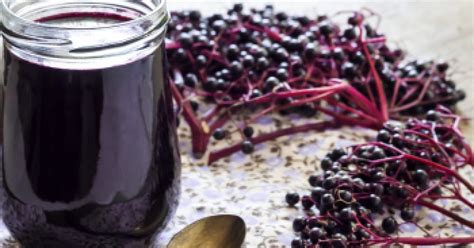 Dr Mcquinn Naturopath Tips For Boosting Your Immune System Camas