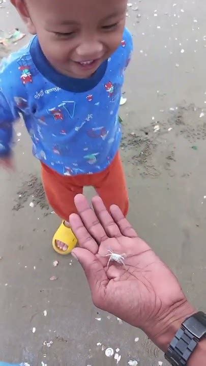 Kepiting Kecil Youtube