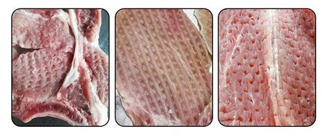 Meat Tenderizers Machine