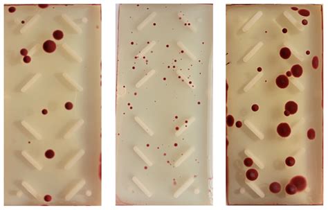 Closed Loop Water Treatment EAI Water