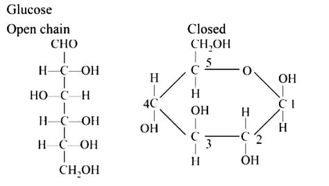 Glucose Structure Linear