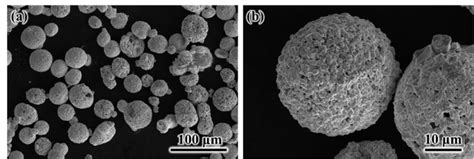 A Morphology Of The Wc Powder Imaged By Sem And B Partial