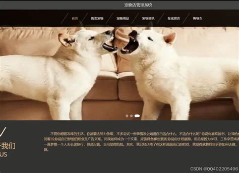 Nodejs基于vue的宠物网上商城交易系统的设计与实现svue宠物交易平台node Csdn博客