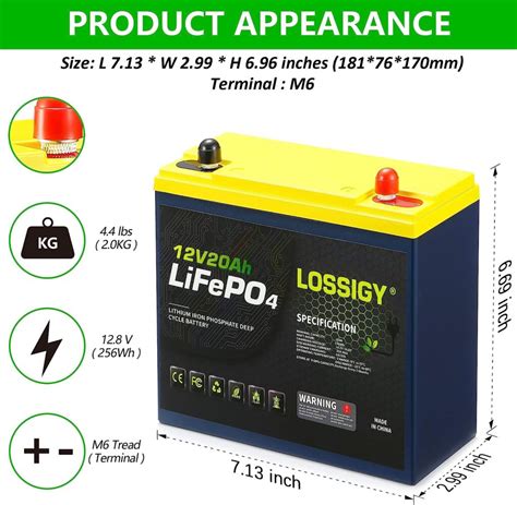 LOSSIGY 12V 20Ah LiFePO4 Lithium Battery Review Solar Generators