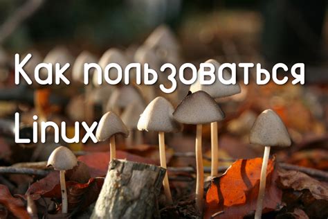 Linux Losst