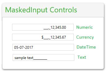 WPF MaskedInput Overview Telerik UI For WPF
