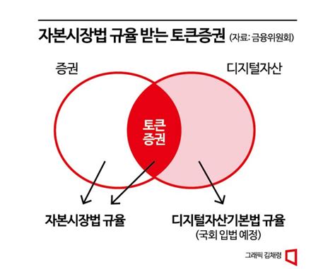 [토큰증권이 온다]②가보지 않은 길…투자자 보호가 핵심 아시아경제
