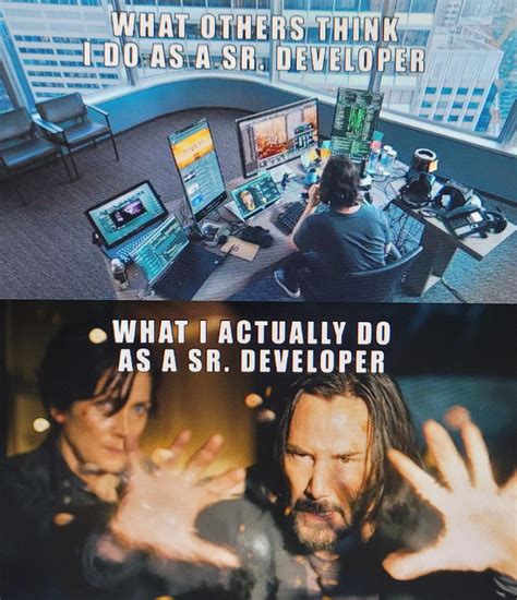 The True Life Of A Sr Developer Rprogrammerhumor