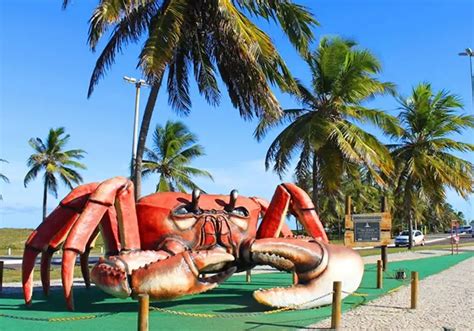 Turismo Em Aracaju Fotos E Imagens Turismo Cultura Mix