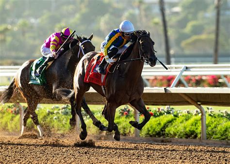 Las Chicas Del Sur También Ganan En El Norte Sudamérica Y Su Historia Dorada En El Clement L