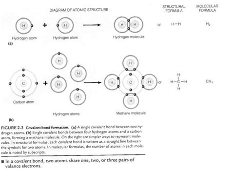 Comparing Ionic And Covalent Bonding Visualized Through A Venn Diagram