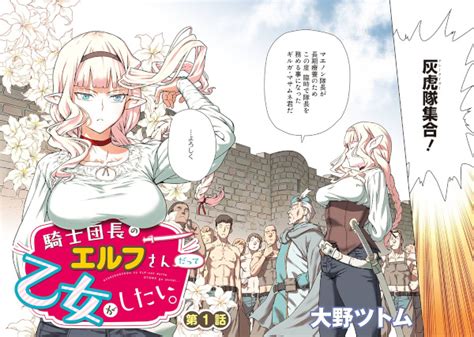 Kishi Danchou No Elf San Datte Otome Ga Shitai Manga Pictures