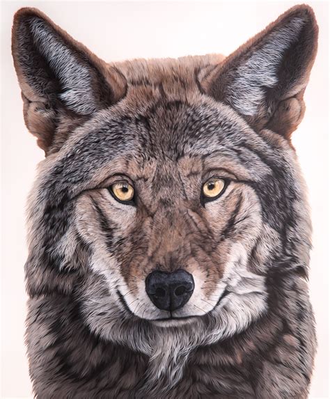 Ester Curini Home Page Evoke Contemporary