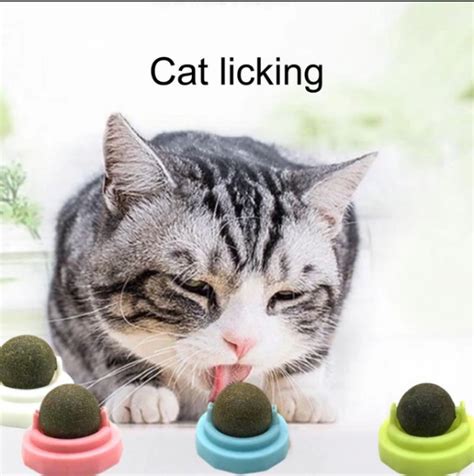 Healthy 4 Flavours Cat Licking Catnip Snacks Treats Cat Sugar