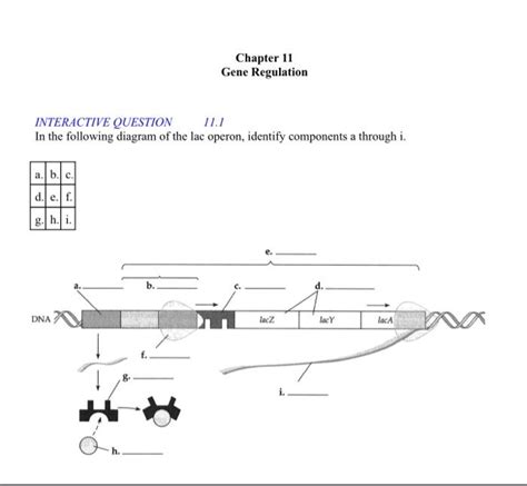 Solved Interactive Question 111 In The Following Diagram Of