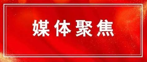【媒体聚焦•央广网】大国“粮”策丨农民从“会”种地转向“慧”种地农业插秧机黑龙江省