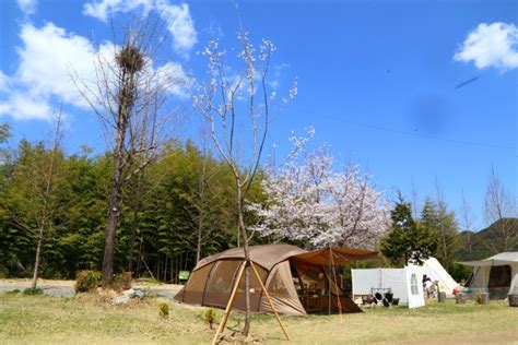 경남 캠핑장 산청 경호강그린캠프 봄맞이 벚꽃 캠핑 네이버 블로그