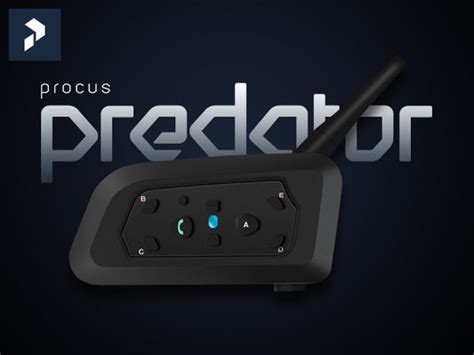 Procus Predator