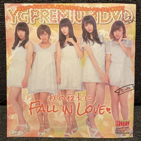 Yahooオークション 「2013ヤングガンガン12月6日号no23特別付録dvd