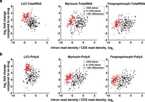 Sequencing Of The Poly A Rna Fraction Confirms That Licl Induces Intron