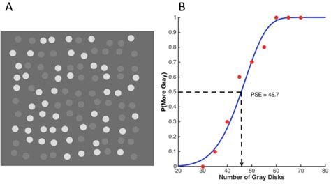 Example Stimulus And Psychometric Function A An Example Disk Array Download Scientific