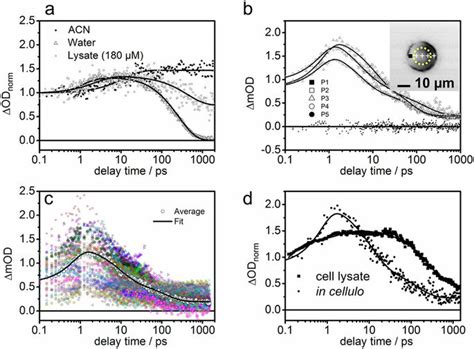 Spectroscopic Experiments Performed On Compound 1 In Different Download Scientific Diagram