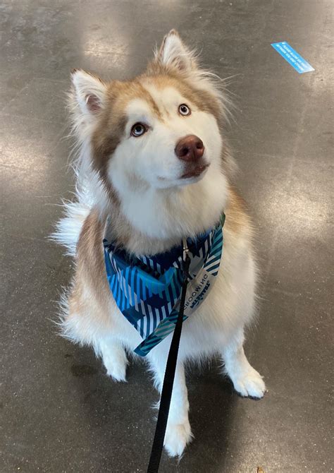 Hey Dad Don T I Look Handsome Scrolller